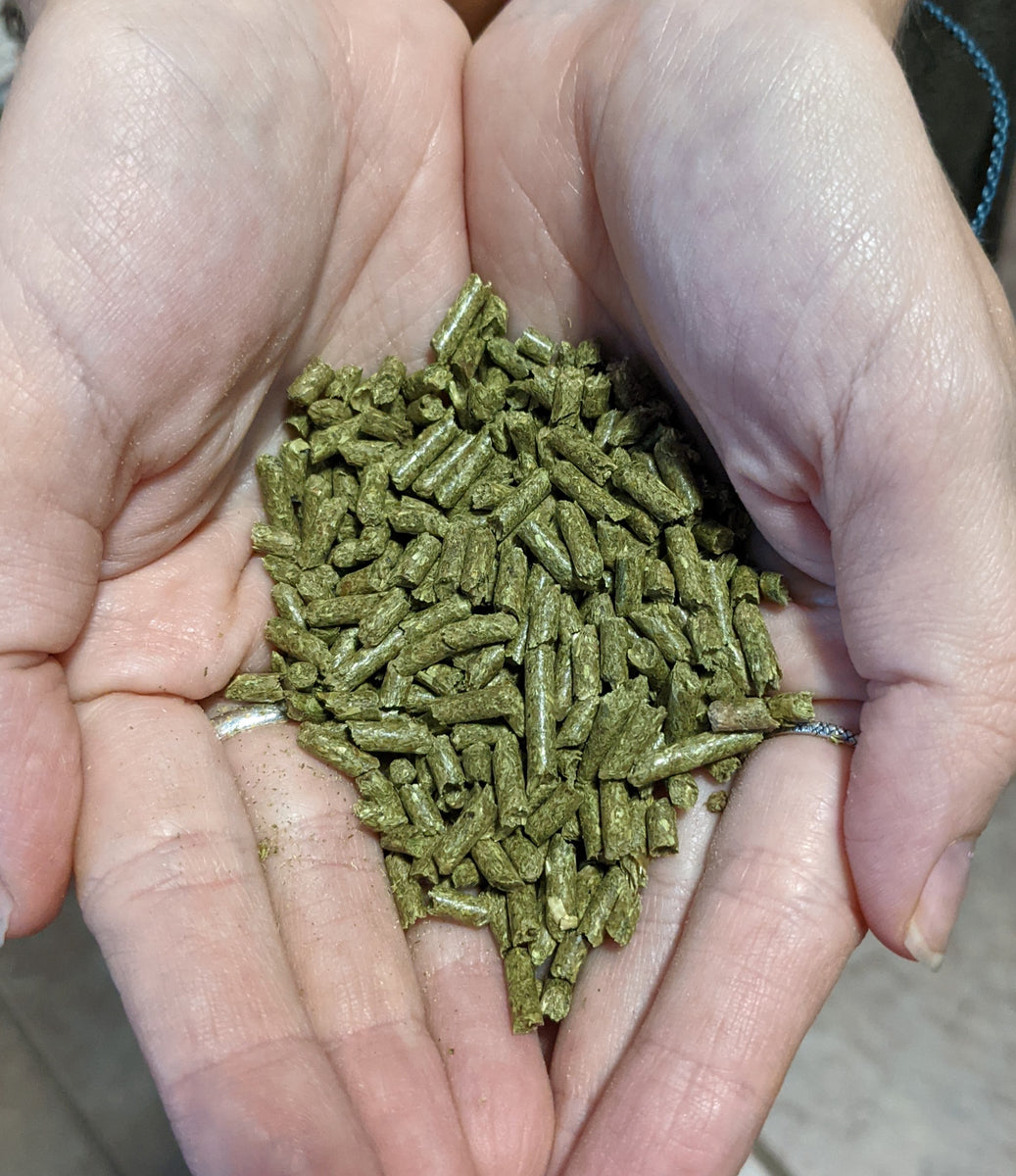 Bulk Food - Oxbow Adult Rabbit Pellet - 5lbs – Preuss Pets