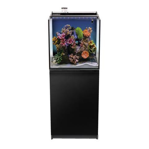 Aquariums – Preuss Pets