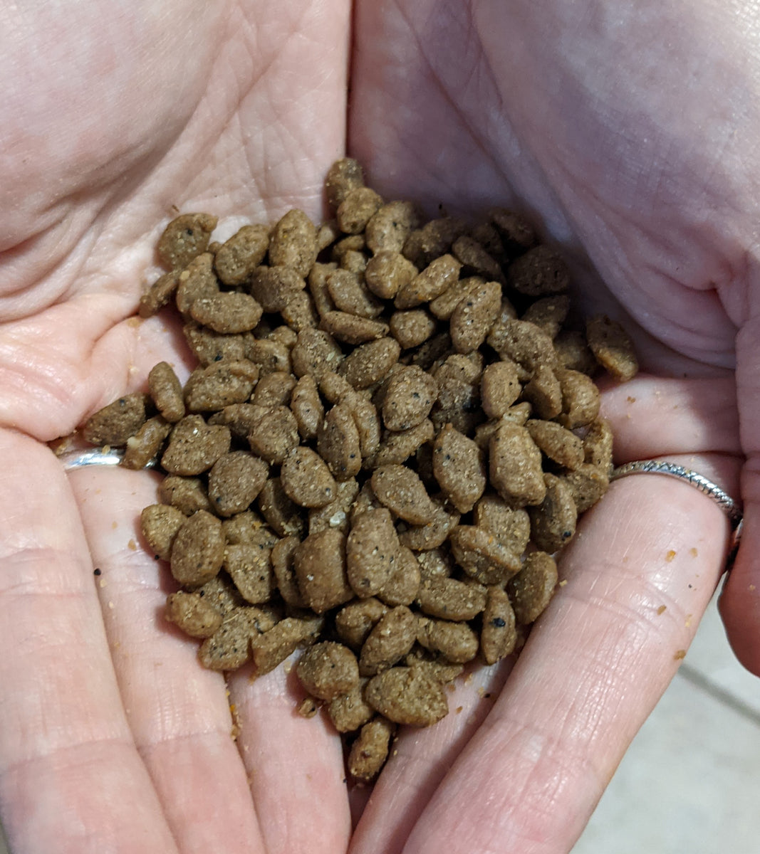 Bulk Food - Spike's Delite - 5lbs – Preuss Pets